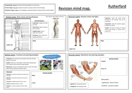 Edexcel GCSE PE: Learning mat- skeletal & muscular system | Teaching ...