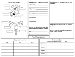 KS3 Reproduction - Knowledge Organiser | Teaching Resources