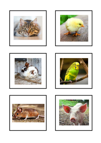 FRENCH - Les Animaux - Board Game | Teaching Resources