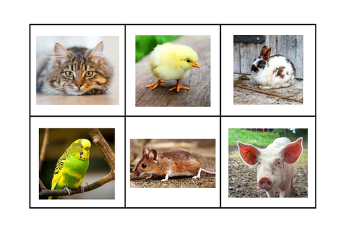 FRENCH - Les Animaux - Board Game | Teaching Resources