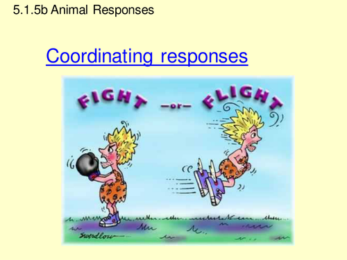 5.1.5b Animal Responses of OCR A level Biology | Teaching Resources
