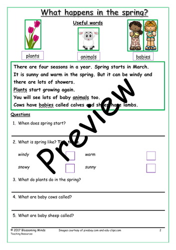 Year 1 Spring Reading Comprehensions | Teaching Resources