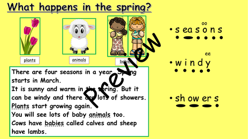 Year 1 Spring Reading Comprehensions | Teaching Resources