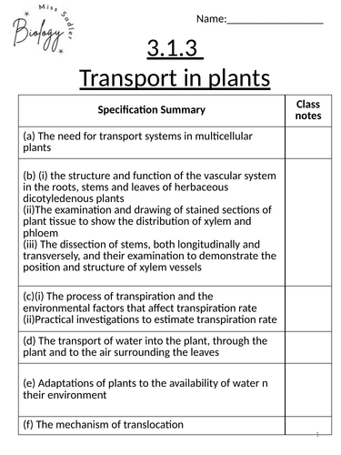3.1.3 Transport in Plants OCR A level Biology (9-10 lessons) | Teaching ...