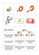 GCSE Genetic Engineering sorting activity | Teaching Resources