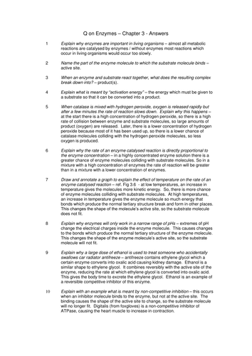 AS Biology Enzymes Questions & Answers | Teaching Resources