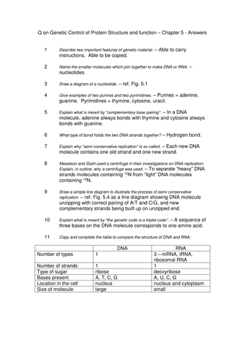 AS Biology DNA Questions & Answers | Teaching Resources