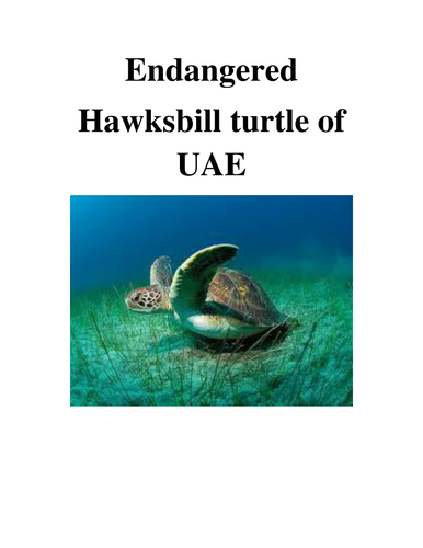 ENDANGERED HAWKSBILL TURTLES | Teaching Resources
