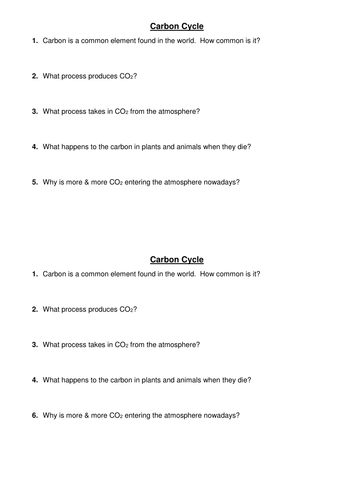 KS3 Science: The Carbon Cycle | Teaching Resources