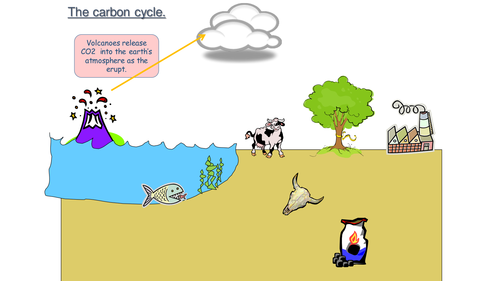 KS3 Science: The Carbon Cycle | Teaching Resources