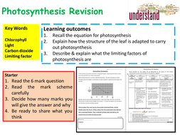 GCSE Biology Photosynthesis Revision Lesson | Teaching Resources