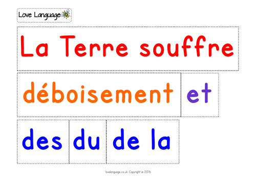 French environmental issues - activity pack - spinners, sentence ...