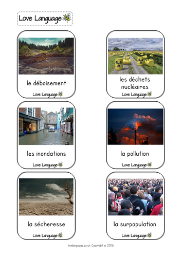 French environmental issues - activity pack - spinners, sentence ...