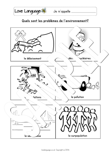 French environmental issues - activity pack - spinners, sentence ...