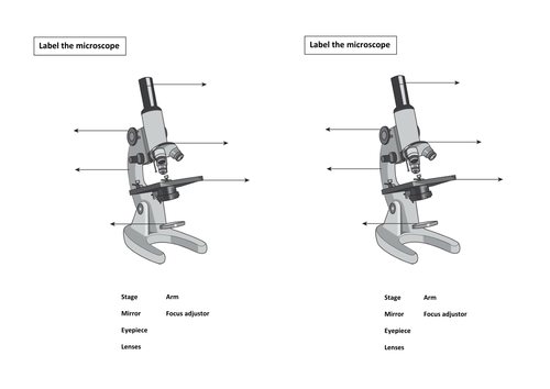 B1.1 The world of the microscope | Teaching Resources