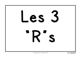 French Protecting the Environment - flashcards and labelled display ...