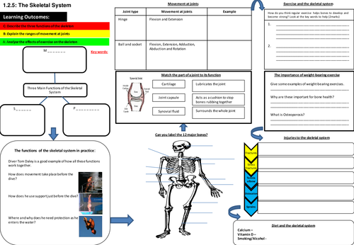 Edexcel GCSE PE- 1.2.5 Skeletal System- A-C (WHOLE TOPIC) | Teaching ...