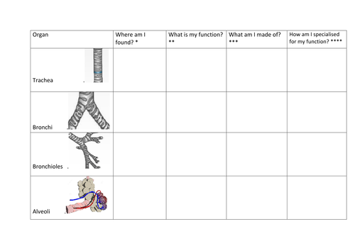 Lungs and Respiration | Teaching Resources