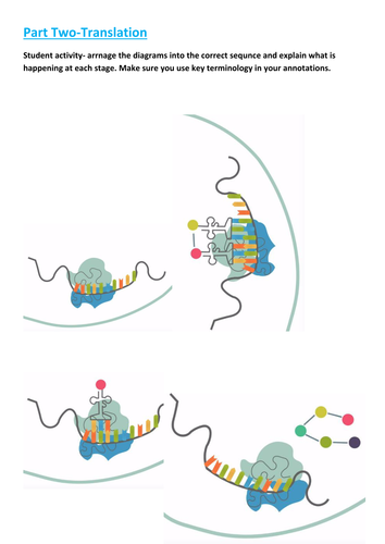 Translation-new AQA spec | Teaching Resources