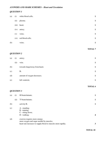 Heart structure & Circulation Practice Sheet -Exam Style Questions GCSE ...