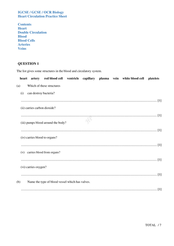 Heart structure & Circulation Practice Sheet -Exam Style Questions GCSE ...