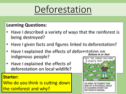 Rainforests - Deforestation | Teaching Resources