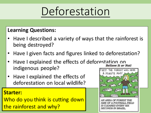 Rainforests - Deforestation | Teaching Resources