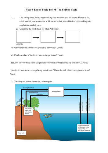 Carbon cycle test | Teaching Resources