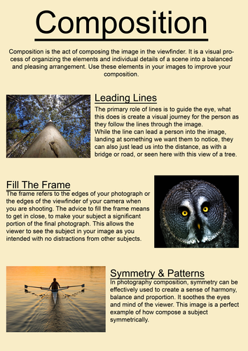 Photography & Art Composition Poster | Teaching Resources