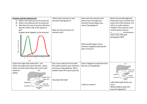 New GCSE Biology AQA - Bile and enzymes - pH and emulsification ...