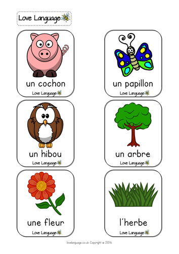 French - Living and non-living things - vocabulary cards | Teaching ...