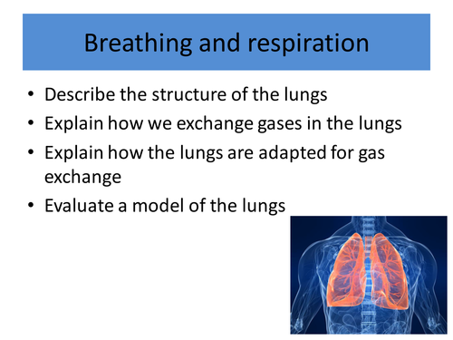 Breathing circus of activities Yr8 respiration topic | Teaching Resources