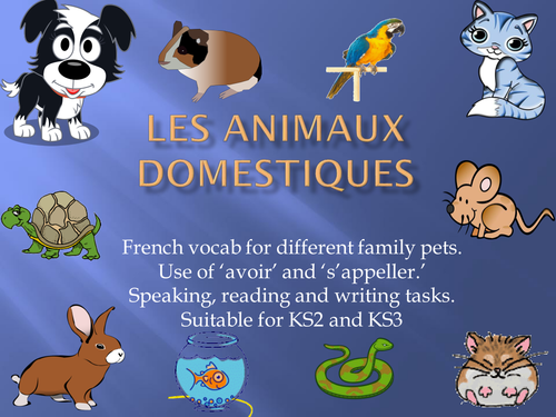 Les animaux domestiques - Pets | Teaching Resources