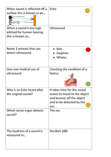 Echos and Ultrasound Year 7 | Teaching Resources