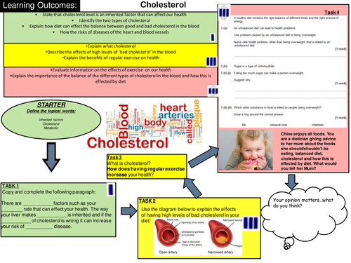 Cholesterol - learning mat | Teaching Resources