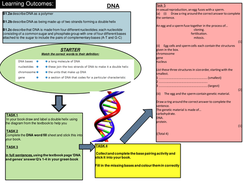DNA - learning mat | Teaching Resources