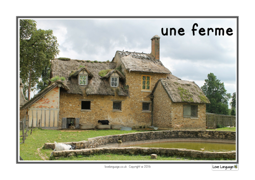 French Living Things - Habitats labelled flashcards | Teaching Resources