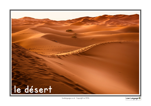 French Living Things - Habitats labelled flashcards | Teaching Resources