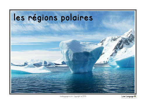 French Living Things - Habitats labelled flashcards | Teaching Resources