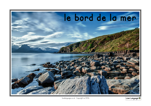 French Living Things - Habitats labelled flashcards | Teaching Resources