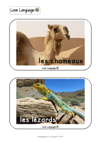 French Living Things - Animals and their habitats flashcards | Teaching ...
