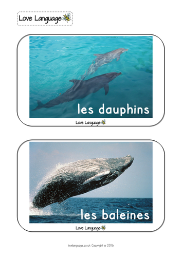 French Living Things - Animals and their habitats flashcards | Teaching ...