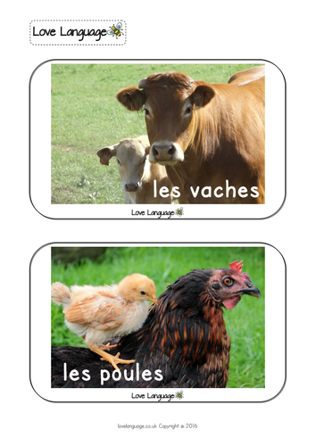 French Living Things - Animals and their habitats flashcards | Teaching ...
