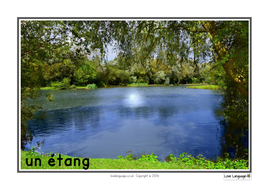 French Living Things - Animals and their habitats flashcards | Teaching ...