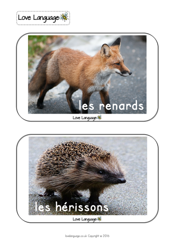 French Living Things - Animals and their habitats flashcards | Teaching ...