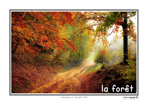 French Living Things - Animals and their habitats flashcards | Teaching ...