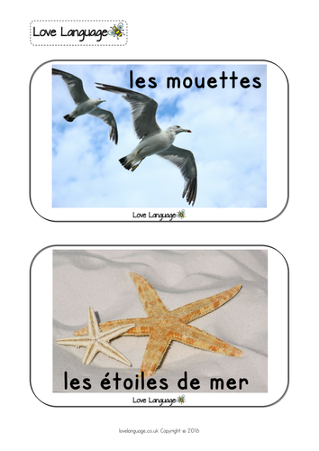 French Living Things - Animals and their habitats flashcards | Teaching ...