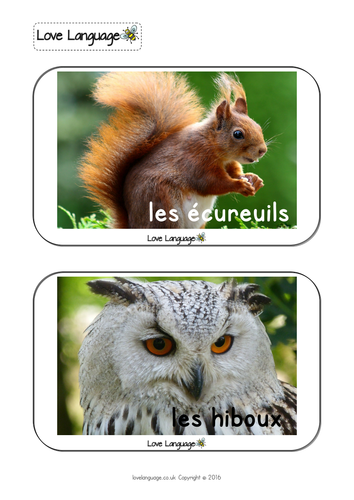 French Living Things - Animals and their habitats flashcards | Teaching ...