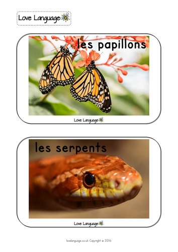 French Living Things - Animals and their habitats flashcards | Teaching ...