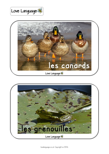 French Living Things - Animals and their habitats flashcards | Teaching ...